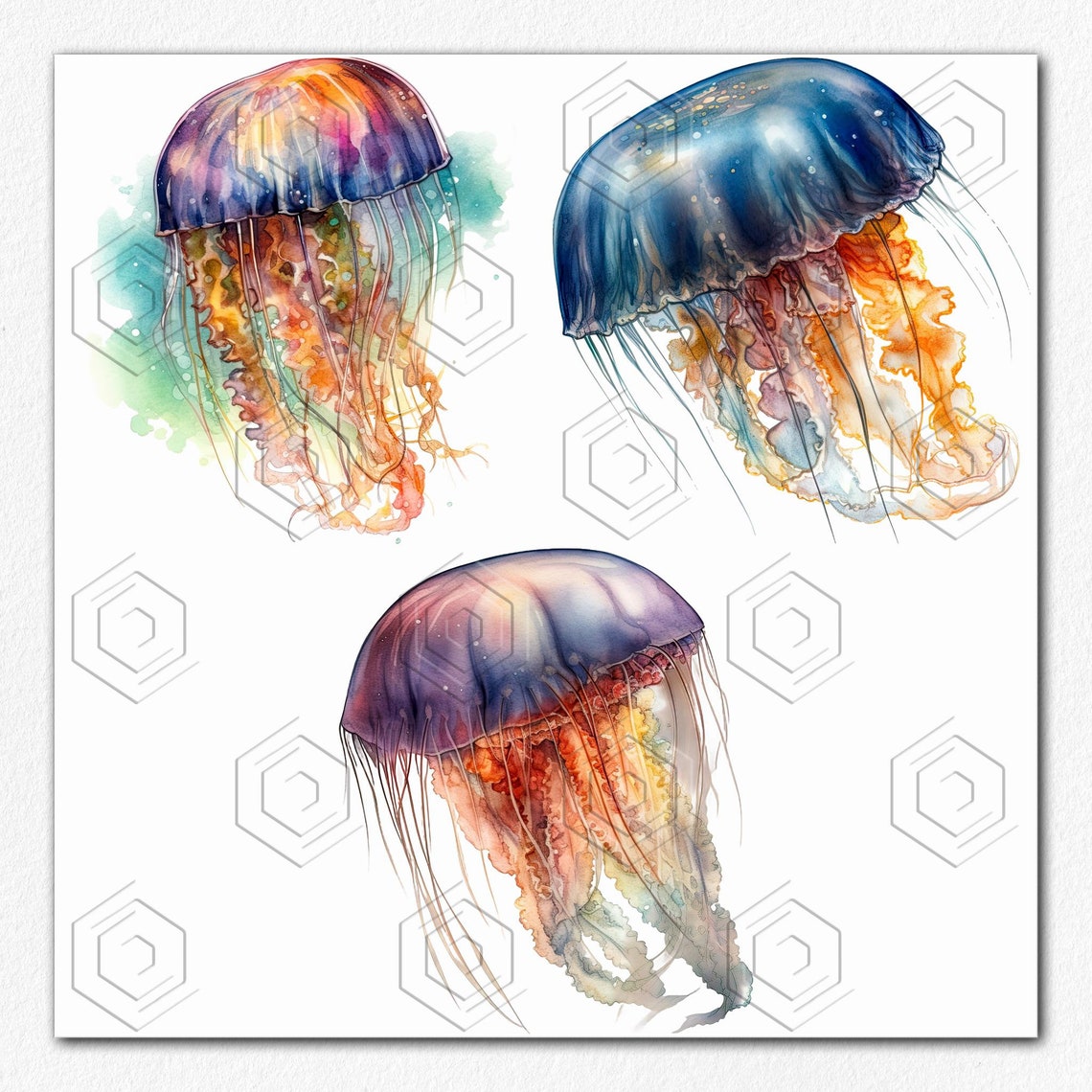11 PNG & JPG Box Jellyfish Clipart Great for Ocean Themes - Etsy