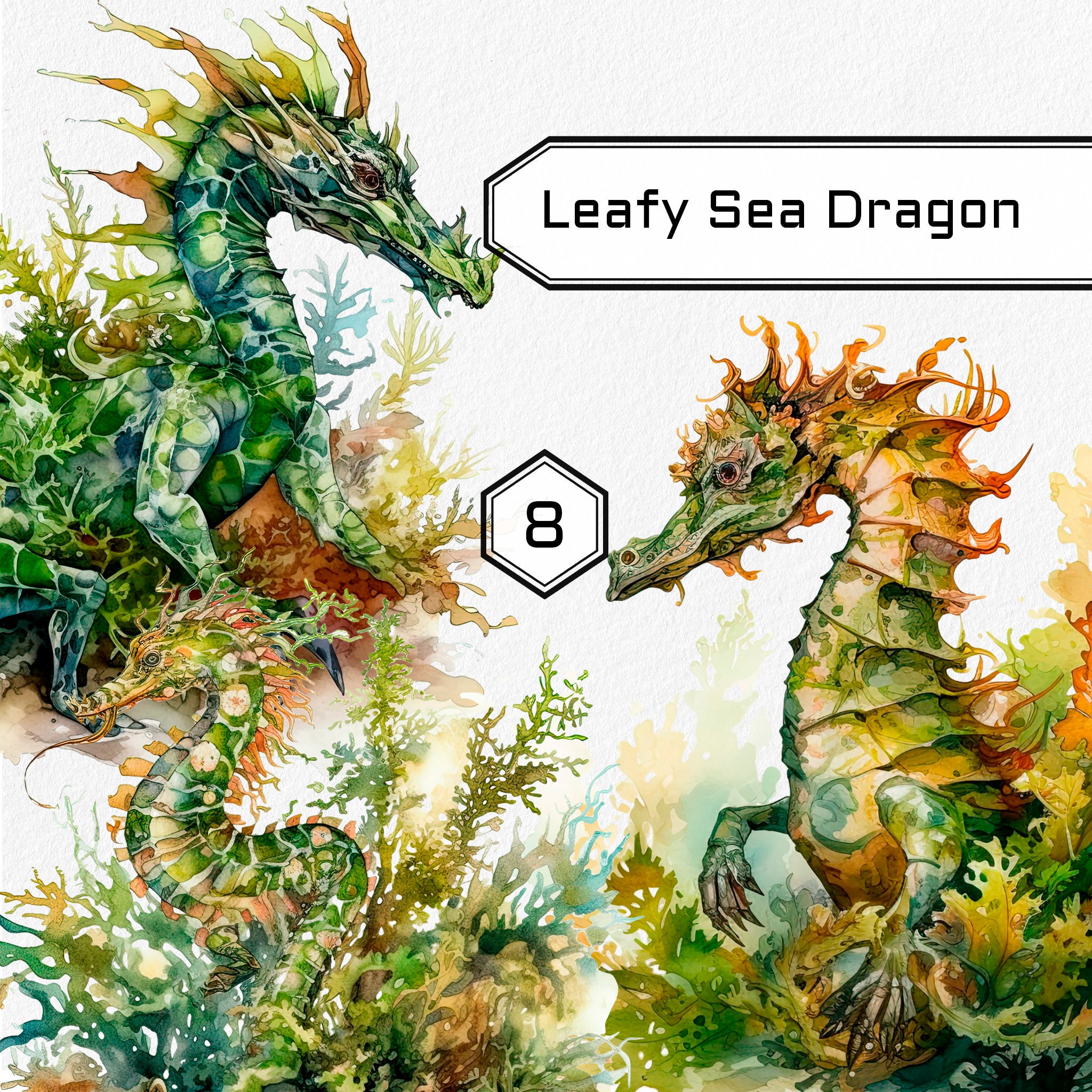 8 PNG & JPG Leafy Sea Dragon Clipart Perfect for Aquarium - Etsy