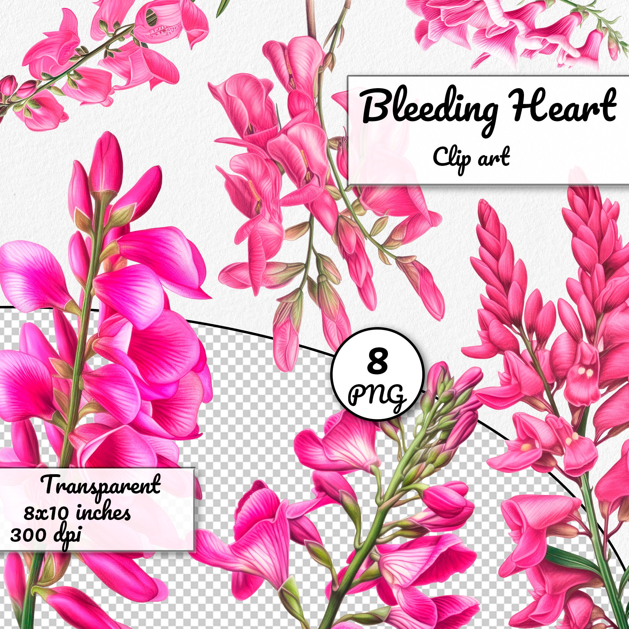 Bleeding Heart Clip Art
