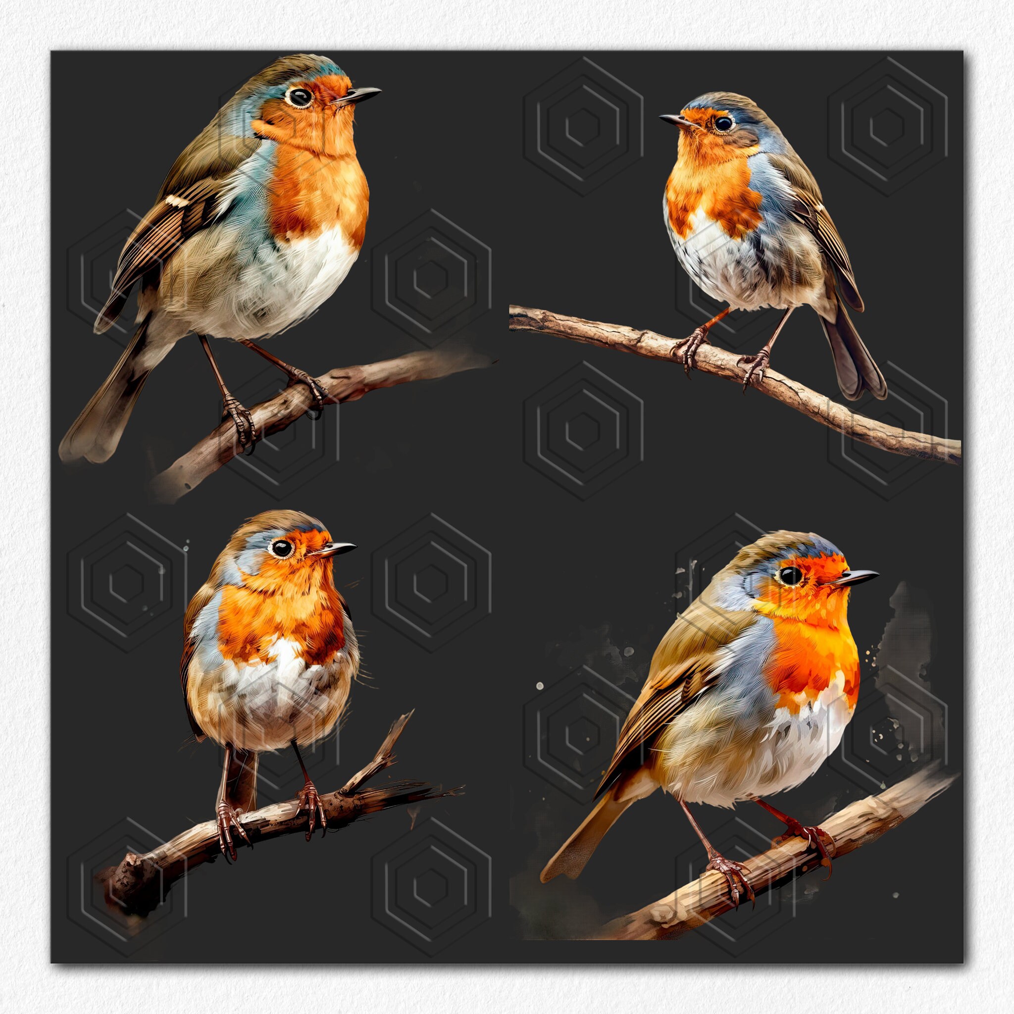 16 PNG & JPG European Robin Watercolor Clip Art: Perched on - Etsy