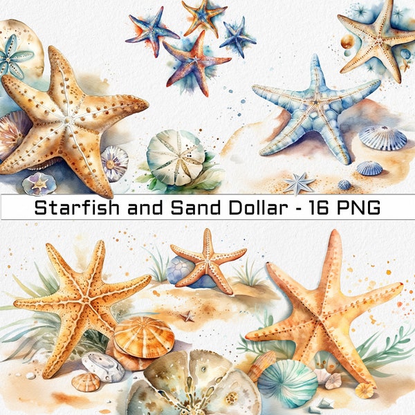 Sand Dollar Clip Art - Etsy