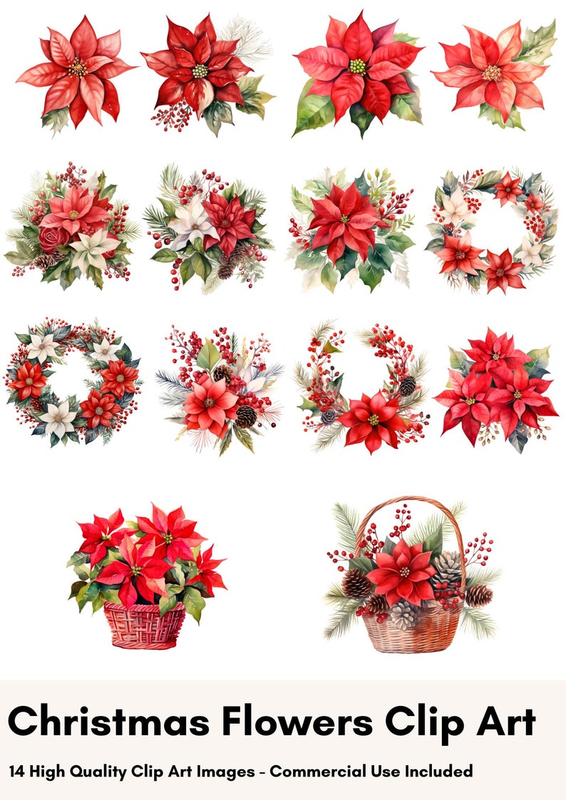 Christmas Flowers Clipart - 14 High Quality Pngs - White & Transparent ...