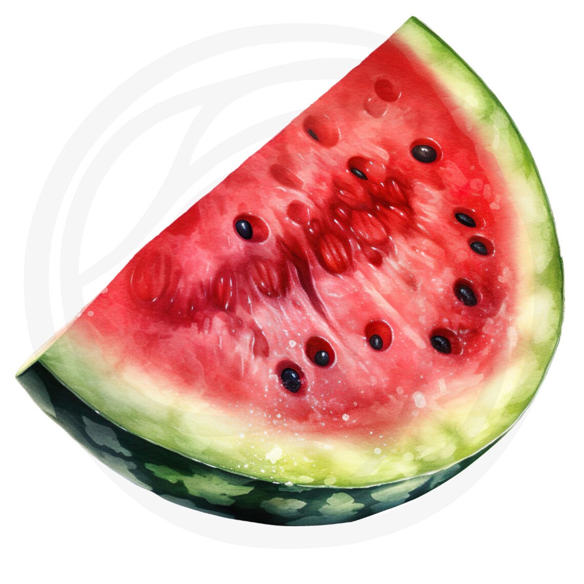 Summer Things Clipart 25 High Quality Jpgs White & Transparent ...