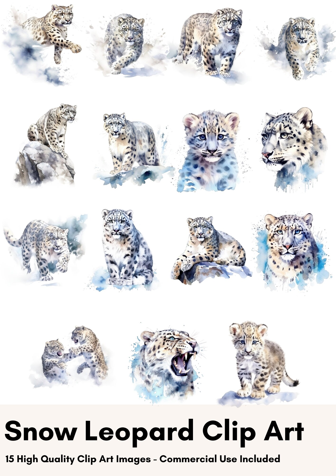 Snow Leopard Clipart- 15 High Quality Jpgs - White & Transparent ...