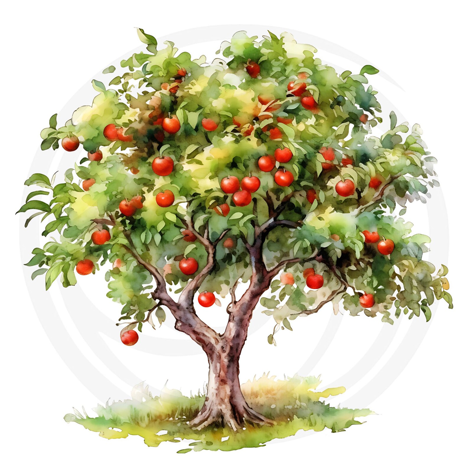 Apple Food Clipart - 20 High Quality Graphics - White & Transparent ...