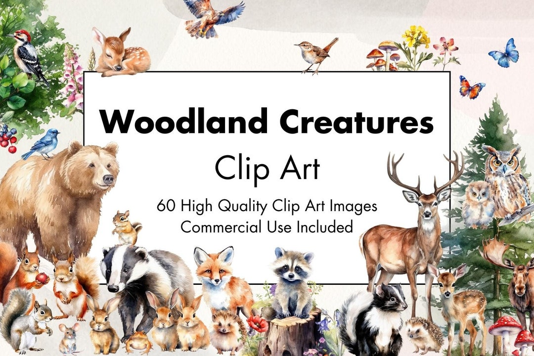 Woodland Creatures Clipart- 60 High Quality Jpgs- White & Transparent ...