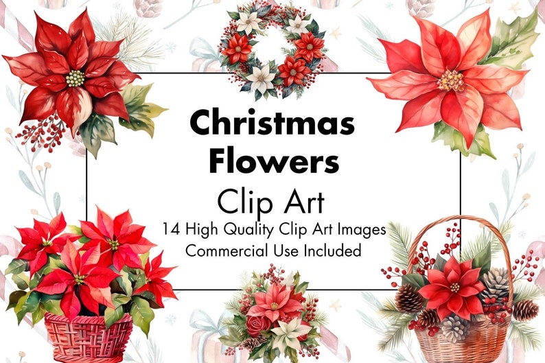Christmas Flowers Clipart 14 High Quality Pngs White & Transparent ...