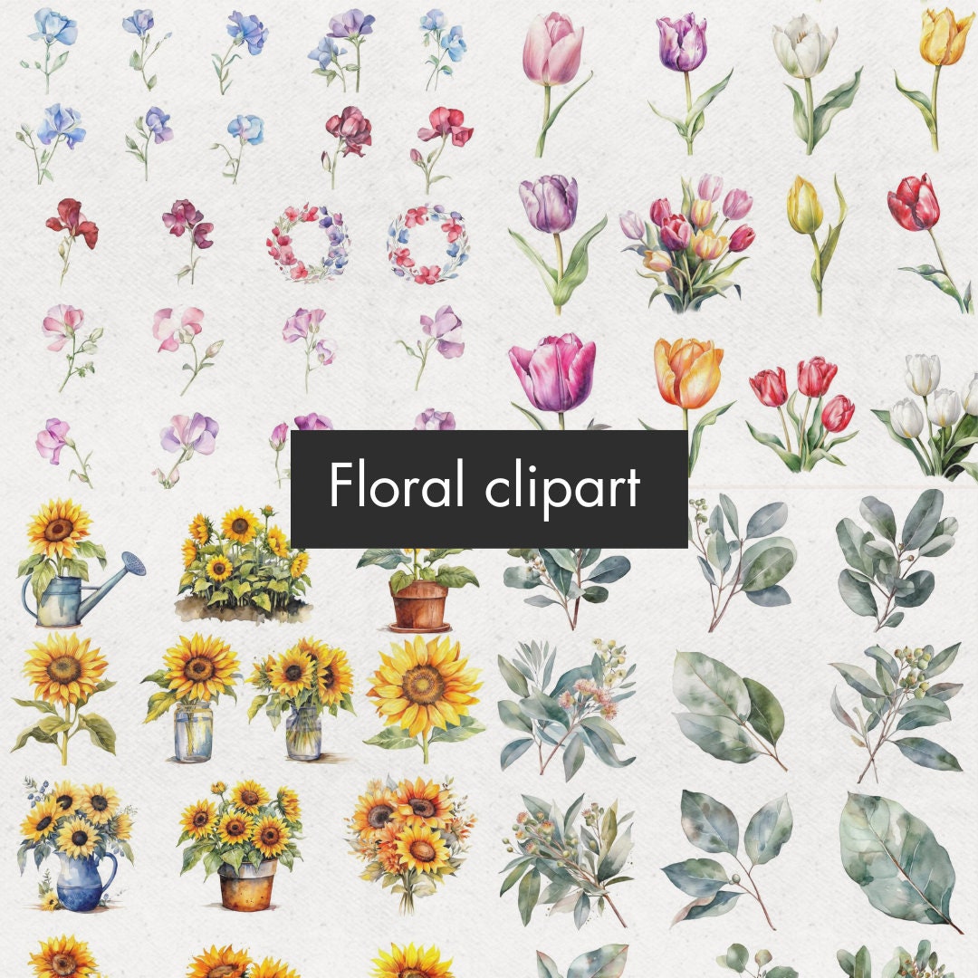 Whole Shop Bundle- Clipart Designs - Lifetime Access - Transparent ...