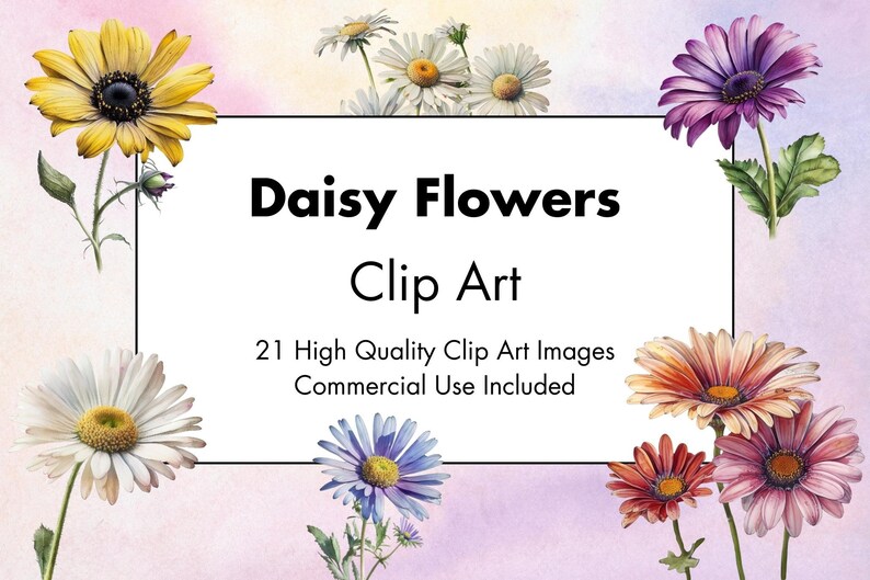 Daisy Flowers Clipart - 21 High Quality Jpgs - White & Transparent ...