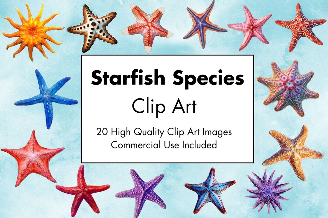 Starfish Species Clipart - 20 High Quality Jpgs - White & Transparent ...