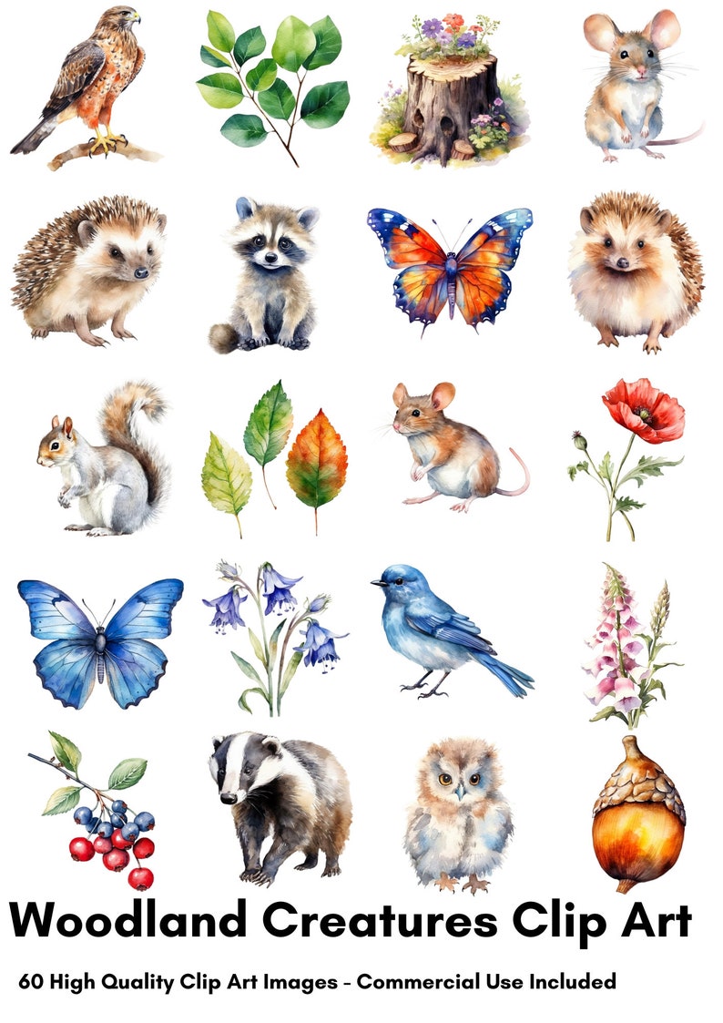 Woodland Creatures Clipart- 60 High Quality Jpgs- White & Transparent ...