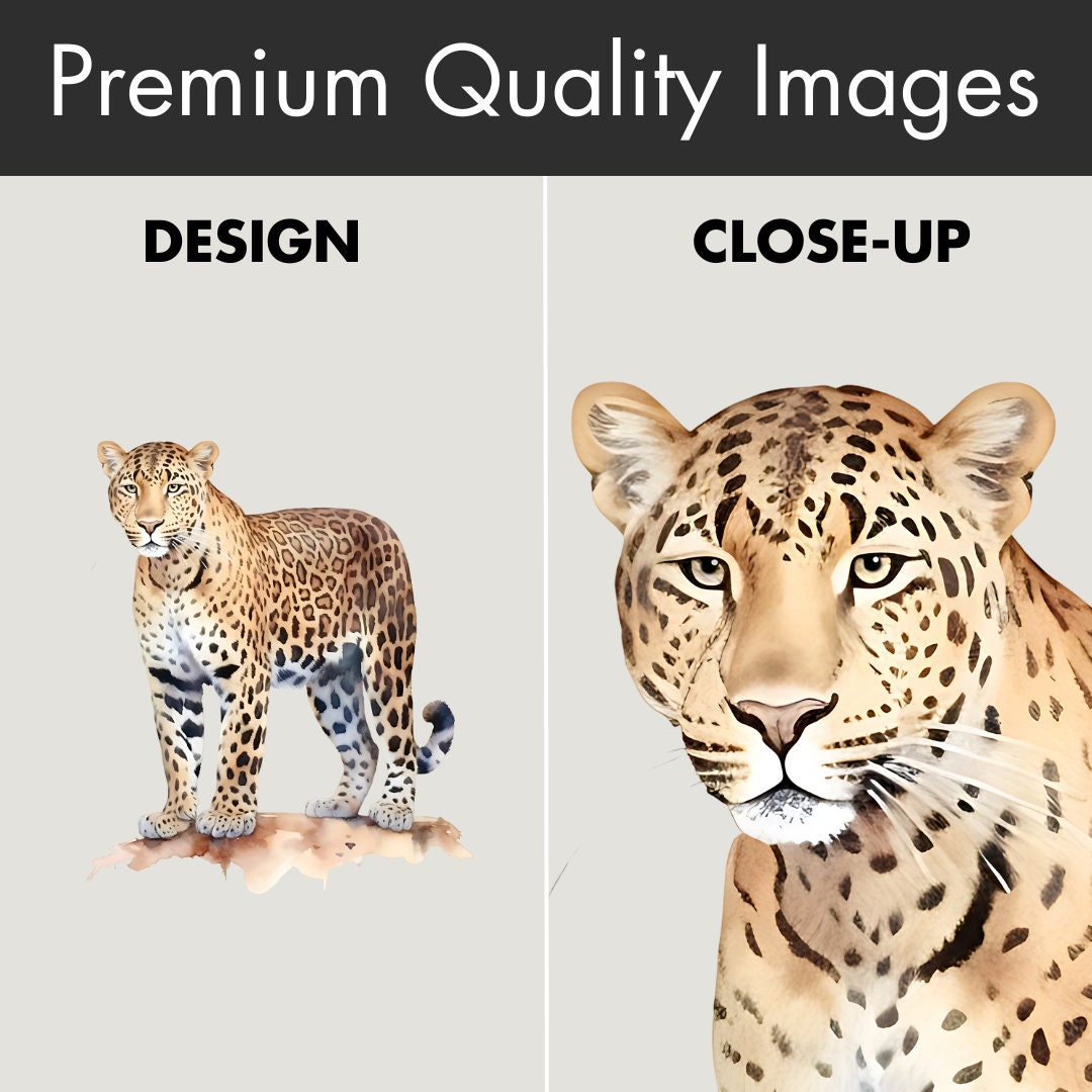 Whole Shop Bundle Clipart Designs Lifetime Access Transparent ...