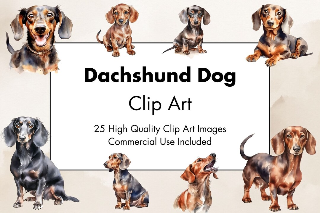 Dachshund Dog Clipart- 25 High Quality Jpgs - White and Transparent ...