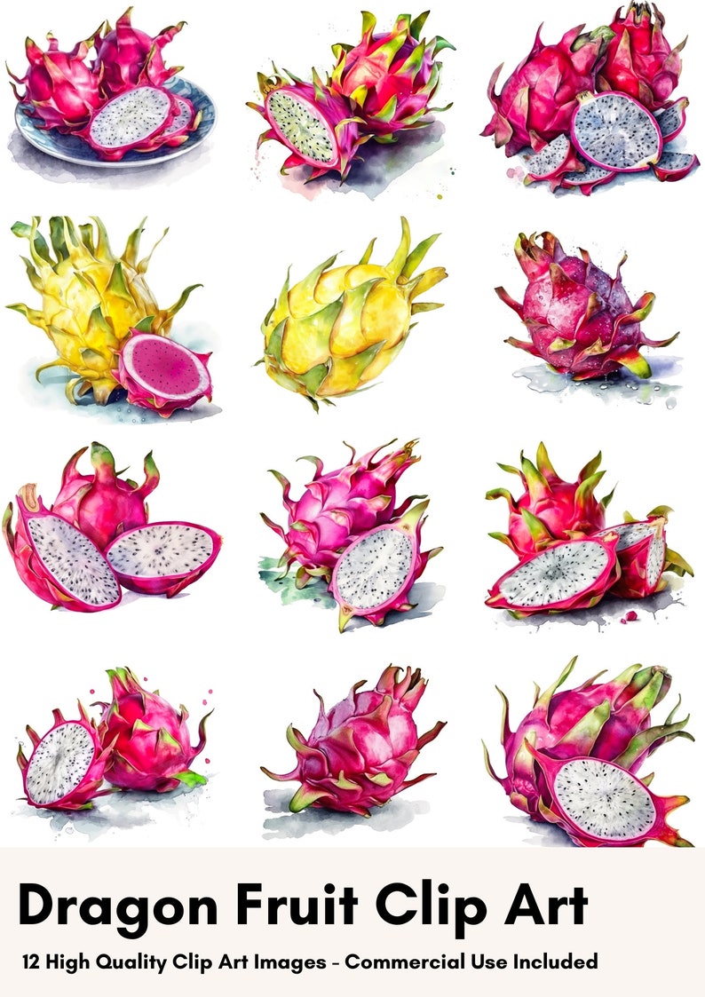 Dragon Fruit Clipart- 12 High Quality Jpgs - White & Transparent ...