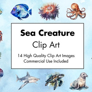 Sea Creature Clipart - 14 High Quality Jpgs - White & Transparent ...