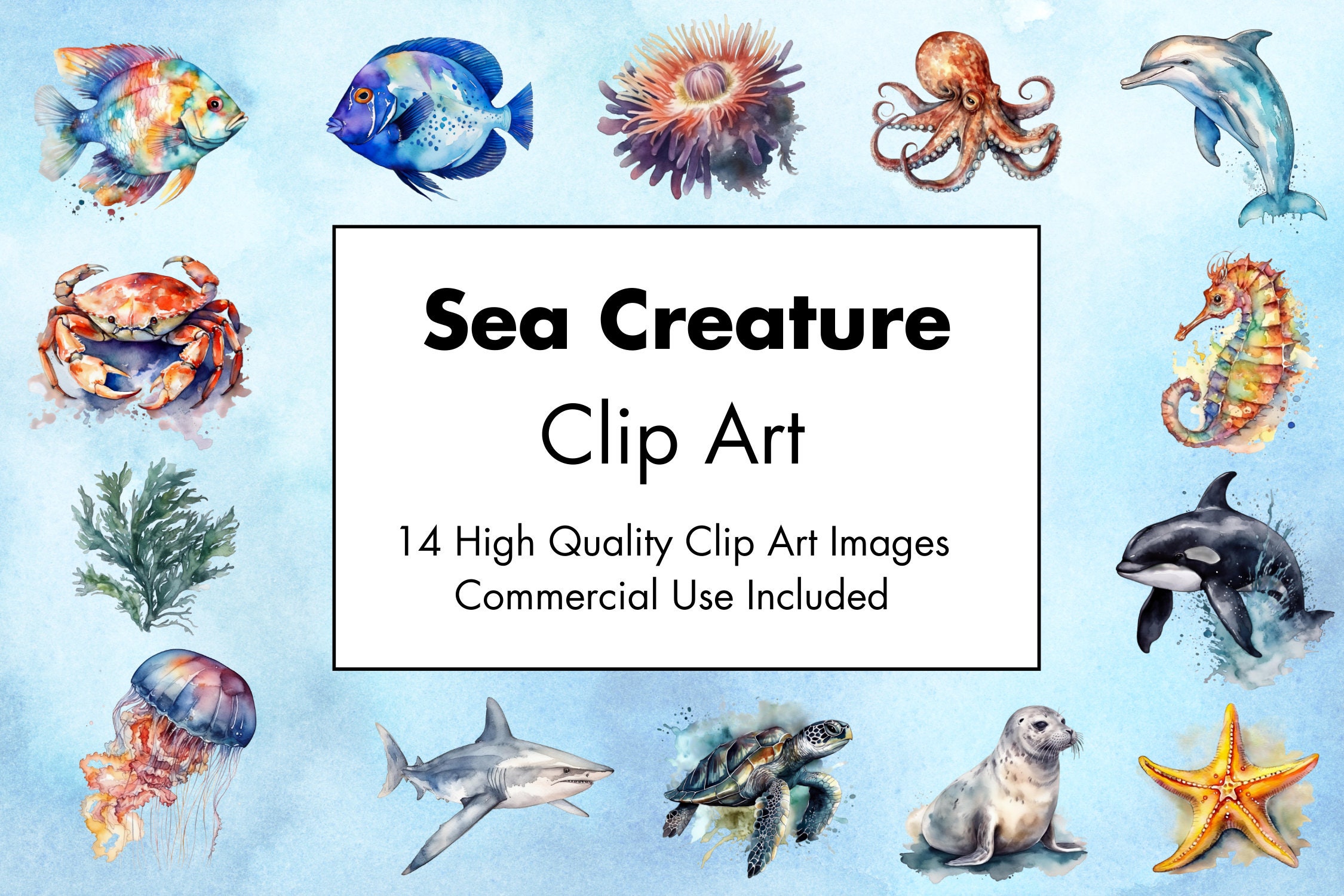 Sea Creature Clipart 14 High Quality Jpgs White & - Etsy