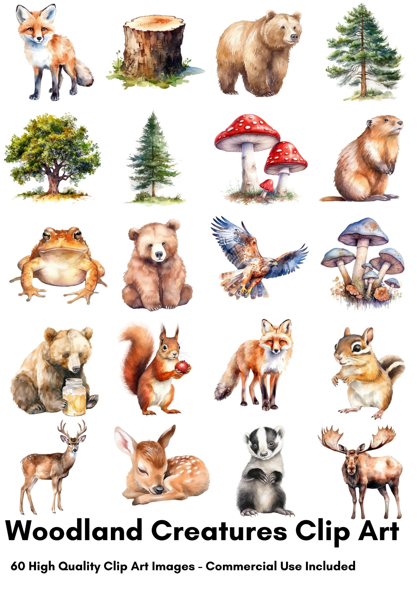 Woodland Creatures Clipart- 60 High Quality Jpgs- White & Transparent ...