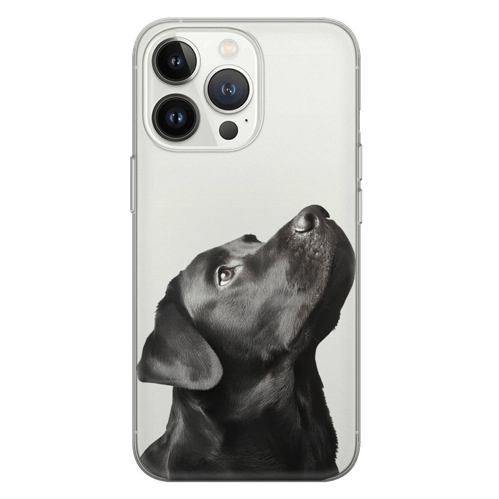 Black Lab Phone Case Black Labrador Cover for iPhone 17, 16, 15, 14, 13 ...