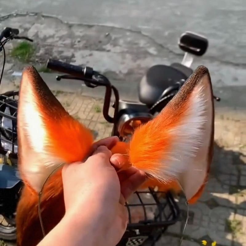 Nick Fox Costume - Etsy UK