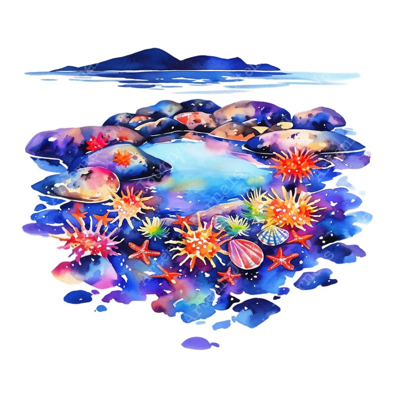 Colorful Tidepool Clipart Bundle Magical Lake, Natural Waters Instant ...
