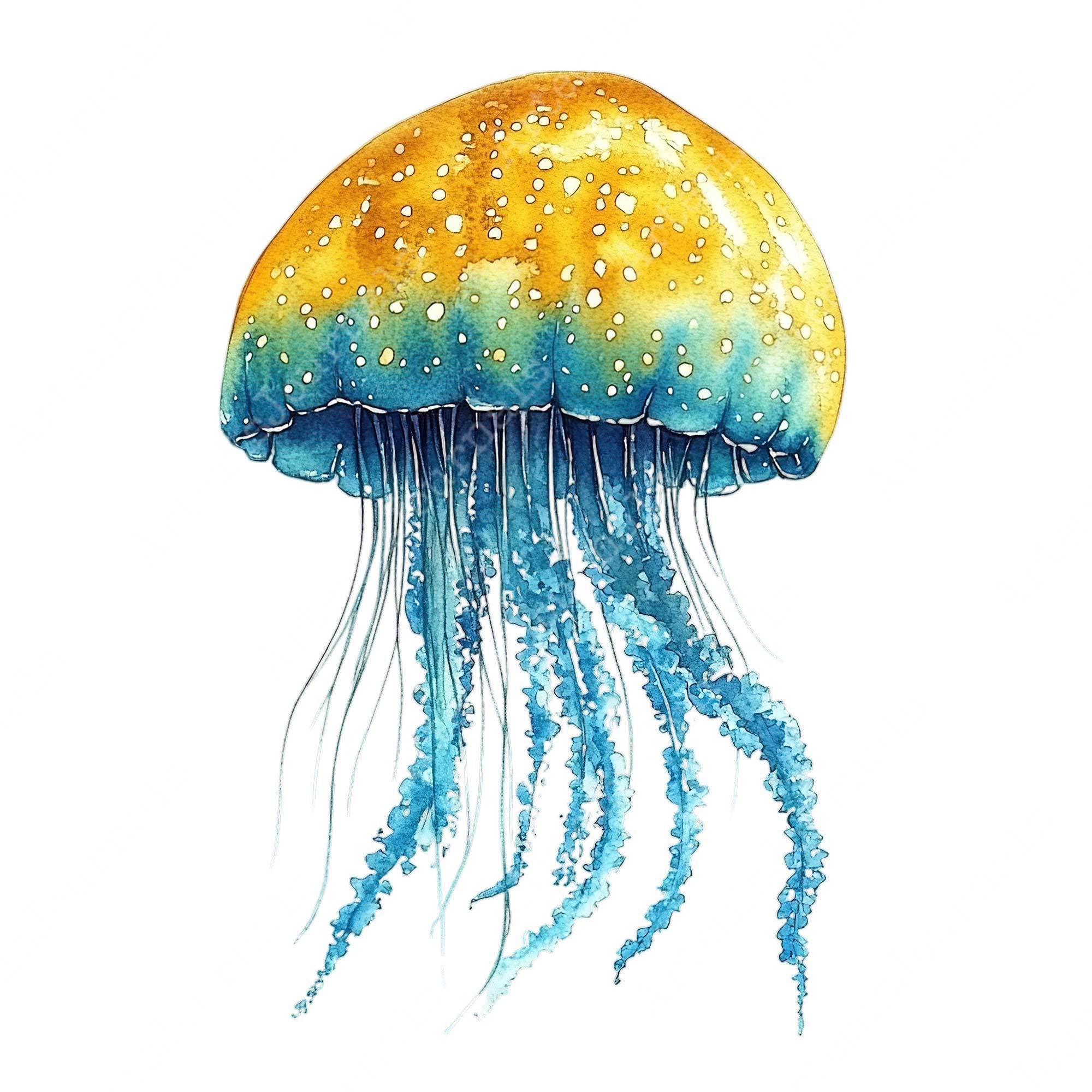 PNG + JPEG Watercolor Jelly Fish Clipart Bundle Sea Life Ocean Life Sea ...
