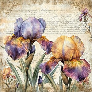 JPEG Scrapbook Vintage Iris Background Papers 12 X 12 Digital Paper ...