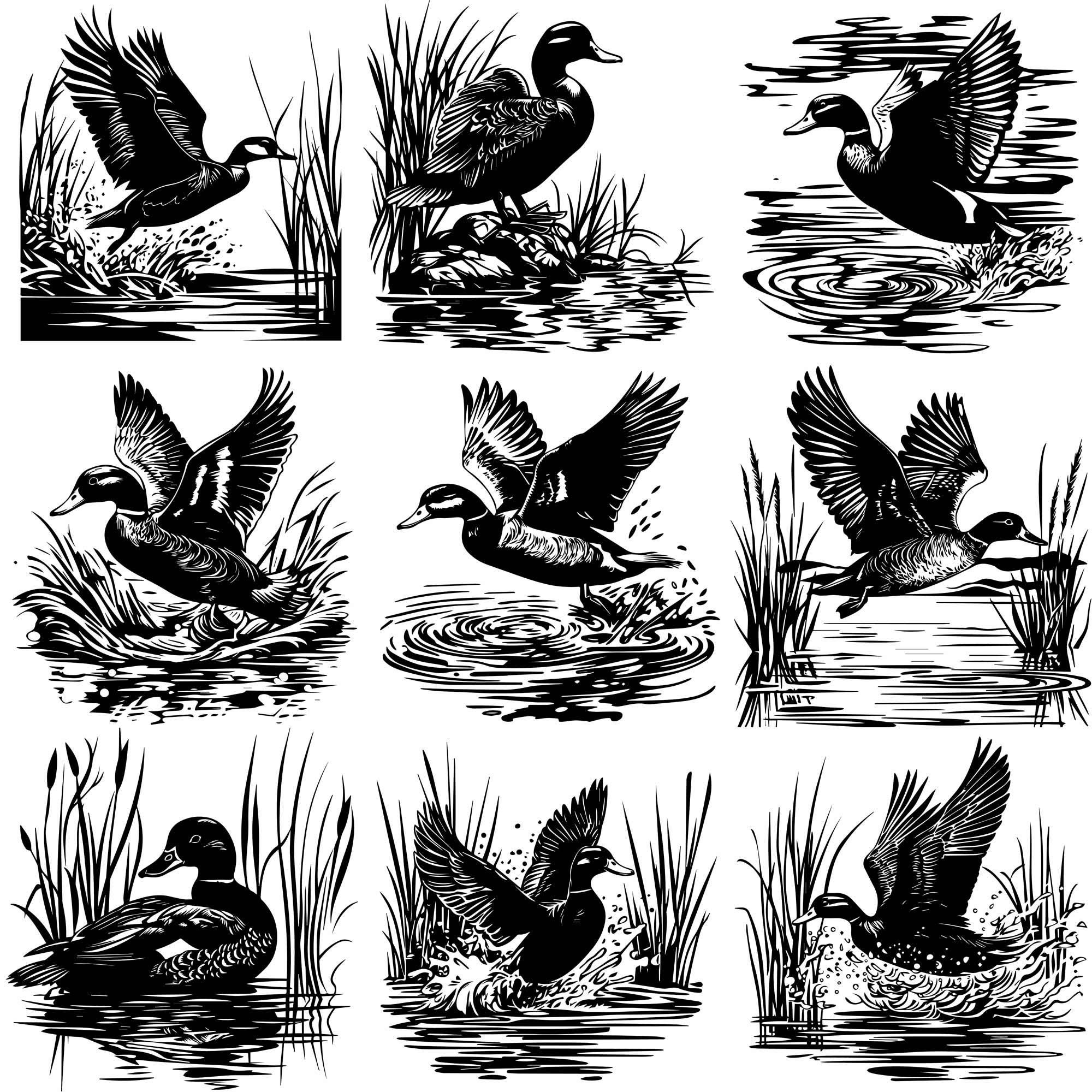 70 Mallard Duck Svg, Dxf, Eps, Ai, Pdf, Jpg Png Hunter Svg, Dxf Files ...