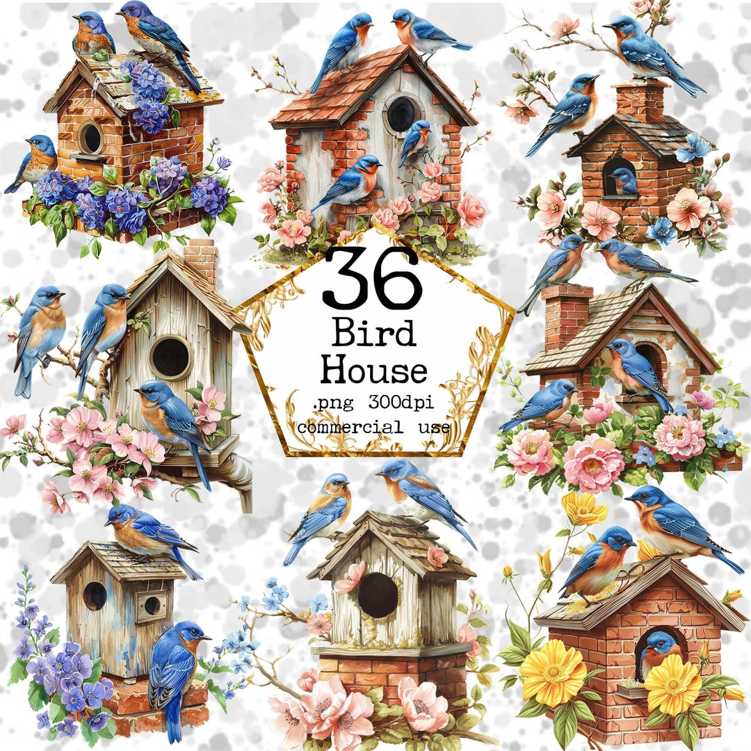 PNG Watercolor Birdhouse Clipart Bundle Bird Clipart Floral Bird ...