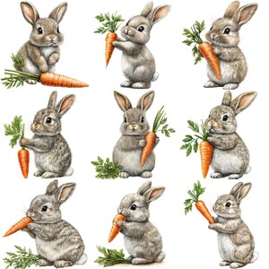 PNG + JPEG Watercolor Rabbit With a Carrot Clipart Bundle Cute Bunny ...