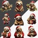 Christmas Sloth Clipart Bundle PNG for Commercial Use Animal Clipart ...