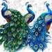 Fancy Peacock Clipart Bundle PNG Magical Dress PNG Commercial Use ...