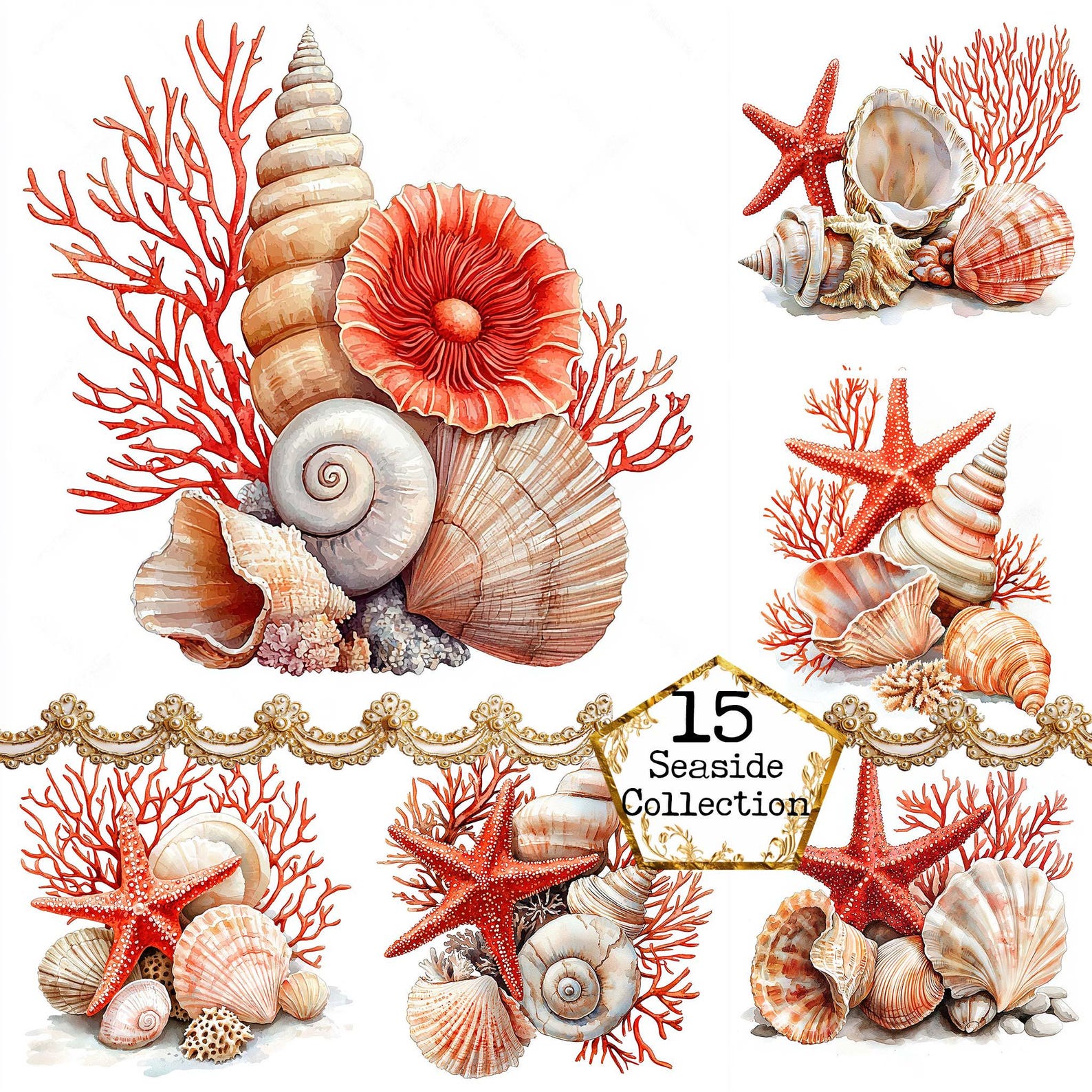 JPEG Coral Reef Sea Shell Collection Clipart Nautical Sea Clipart ...