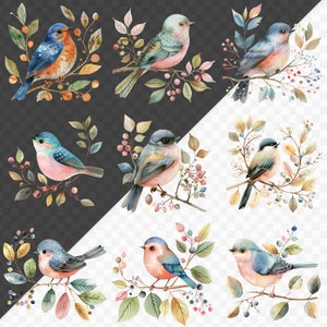 Watercolor Folk Bird Clipart Bundle Bird on Branch Clipart PNG ...