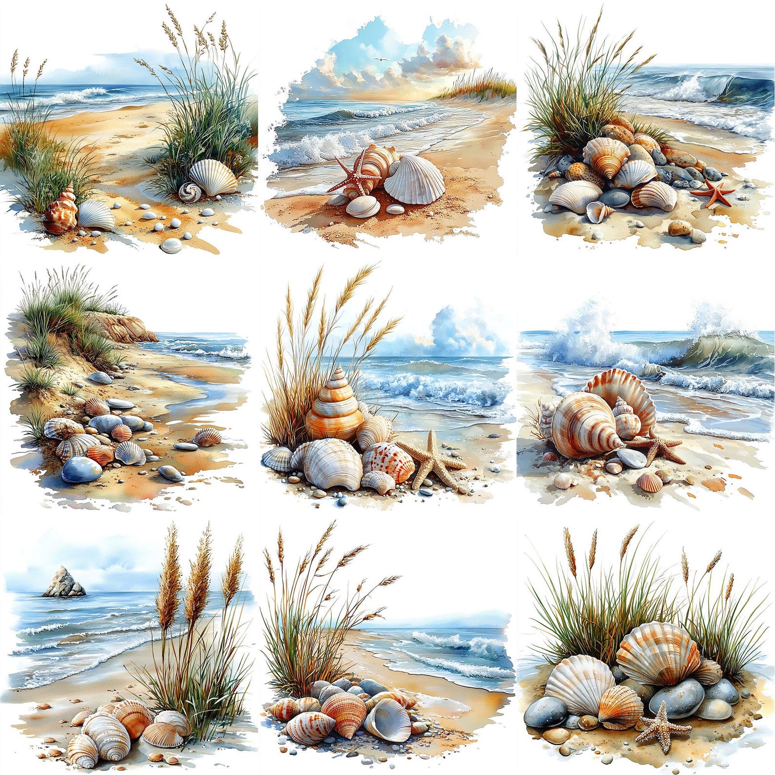 JPEG Watercolor Seashell on the Beach Clipart Bundle Overgrown Beach ...