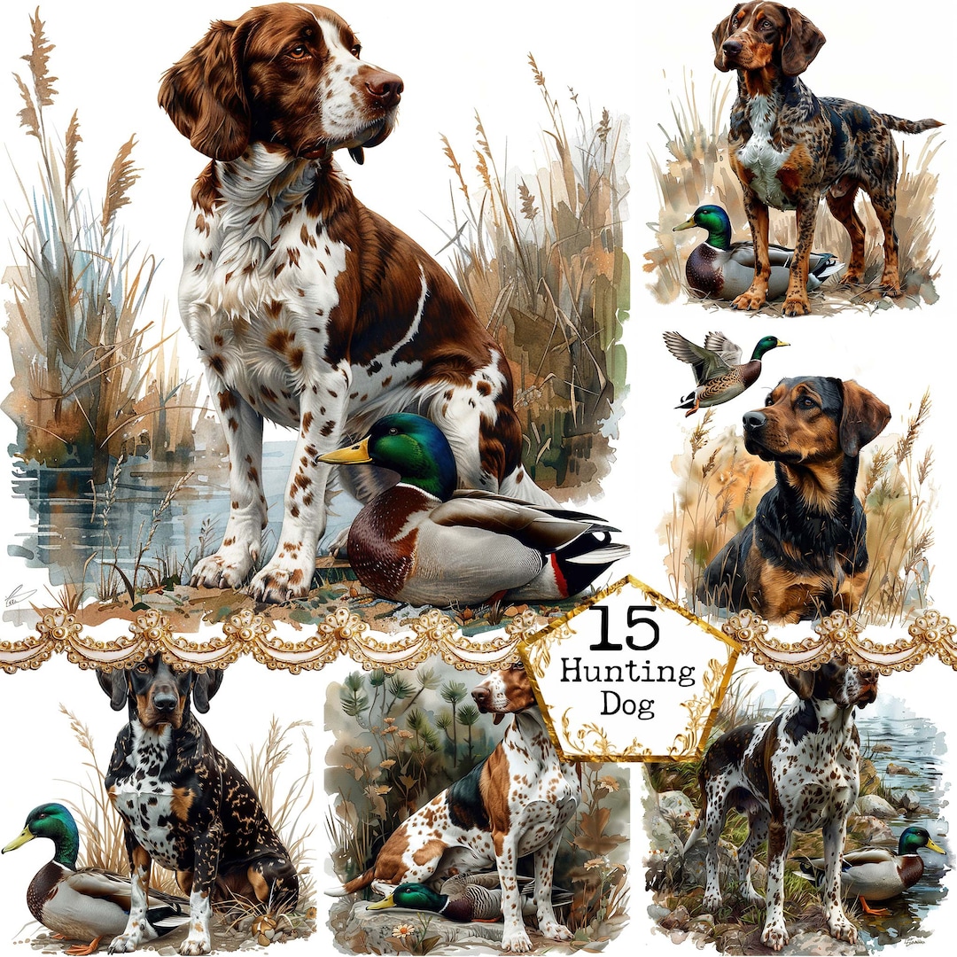 JPEG Pointer Hunting Dog and Mallard Ducks Sublimation Design JPEG ...