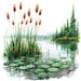 Watercolor Bulrush Pond Clipart JPEG Landscape Clipart Lake Clipart ...