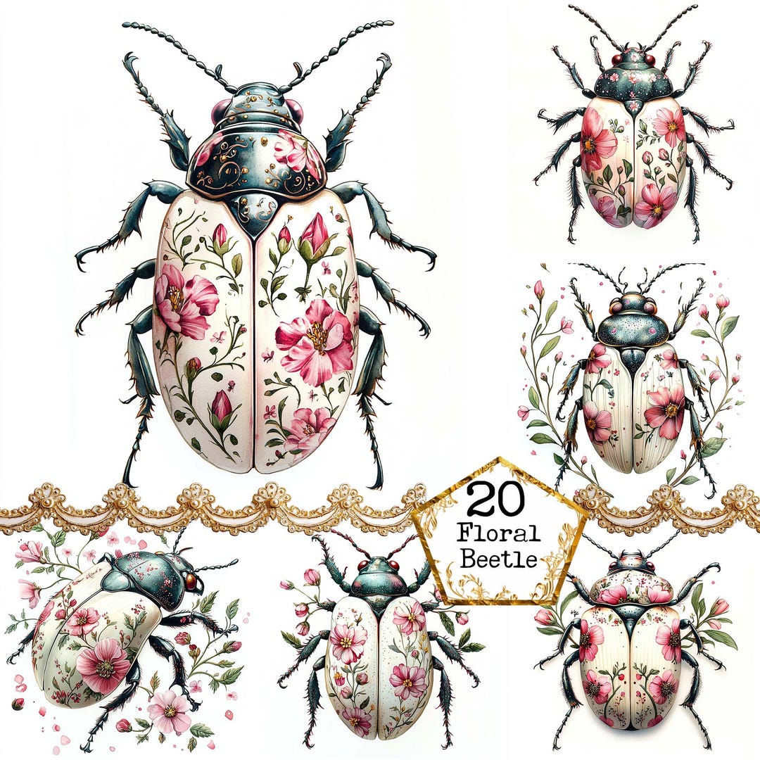 JPEG Floral Beetle Clipart Bundle Vintage Insect Clipart Commercial Use ...