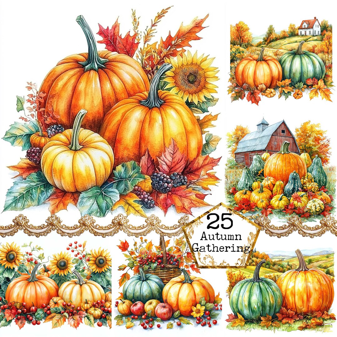 PNG Harvest Pumpkins Clipart Bundle Autumn Pumpkin Display Fall Clipart ...