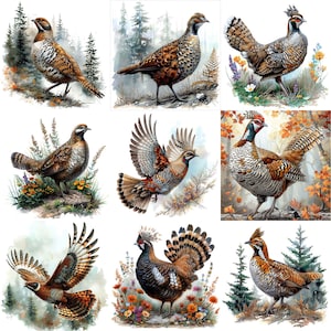 JPEG Ruffed Grouse Hunting Clipart Bundle Grouse Hunter Clipart Hunting ...