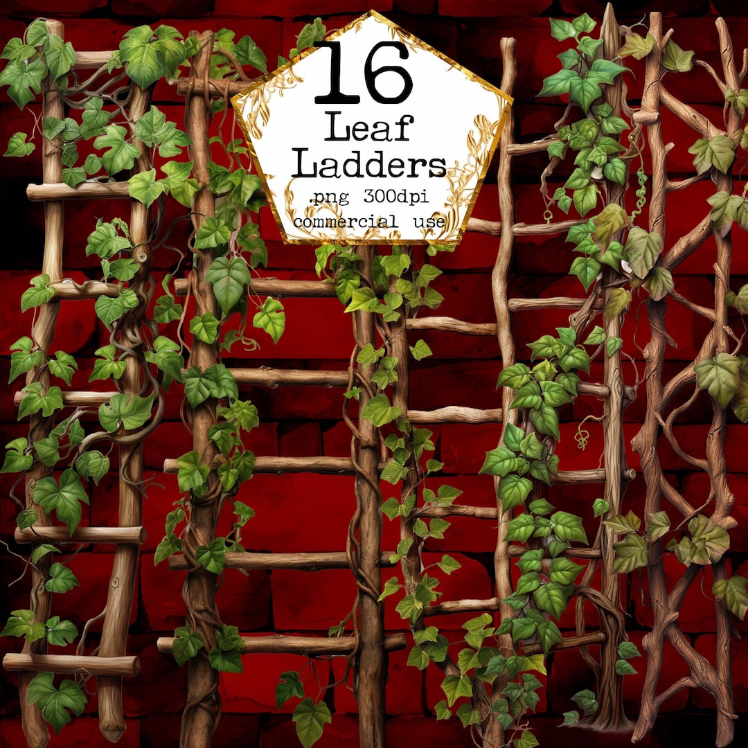 PNG Overgrown Garden Ladders PNG Garden Clipart Bundle Format Instant ...