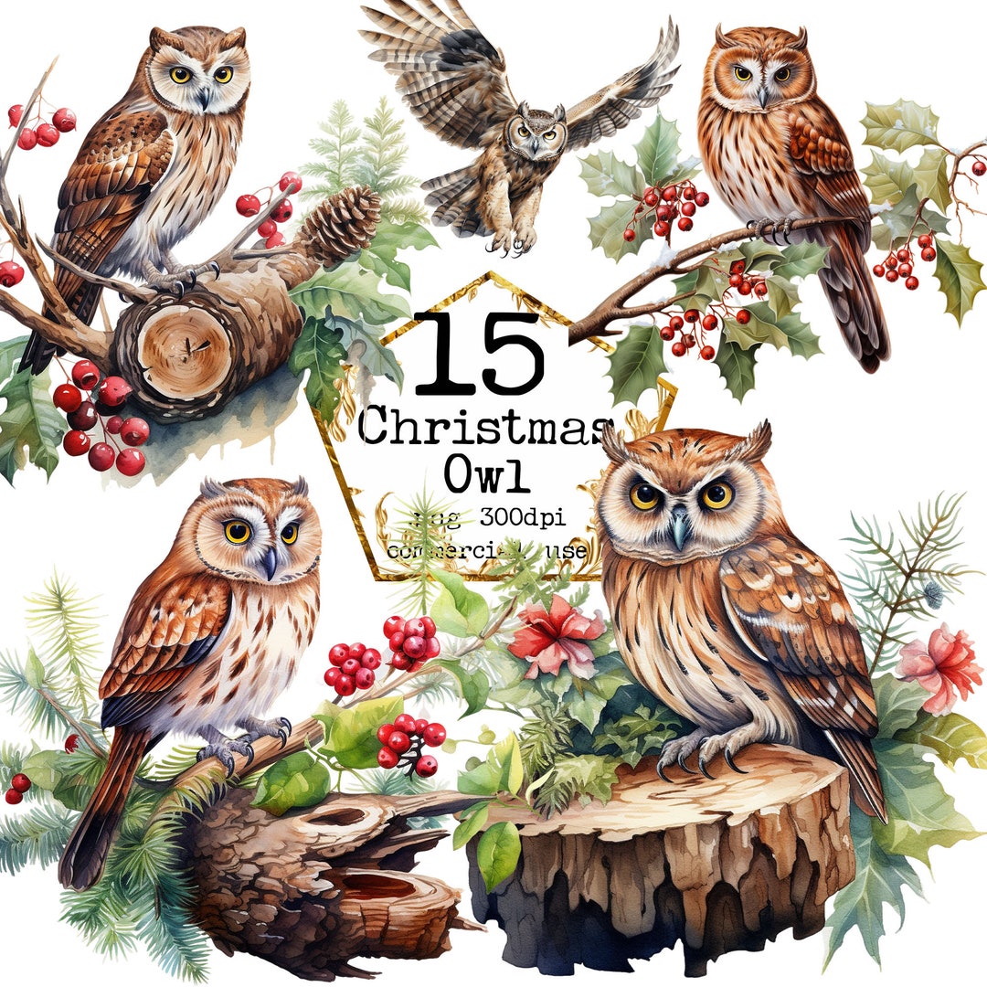 Watercolor Winter Owls Clipart Bundle Tree Trunk PNG Transparent ...