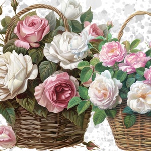 PNG Watercolor Roses Baskets Clipart Bundle Spring Clipart Watercolor ...