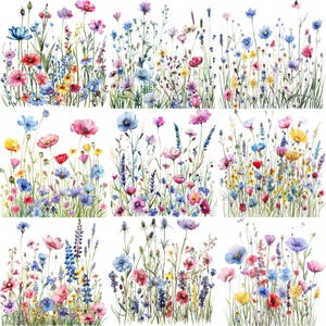 PNG Watercolor Wildflowers Clipart Bundle Wildflower Beds Clipart ...