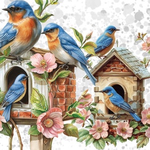 Watercolor Birdhouse Clipart Bundle Bird Clipart Floral Bird Clipart ...