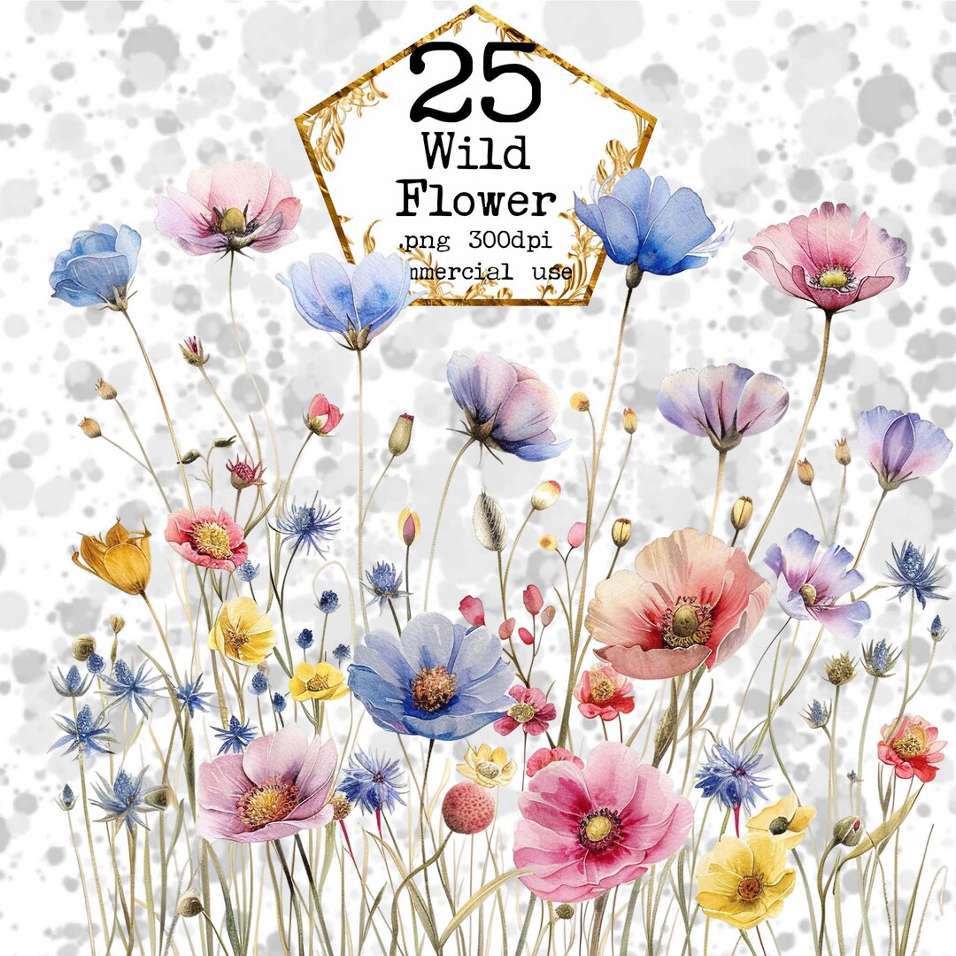 PNG Watercolor Wildflowers Clipart Bundle Wildflower Beds Clipart ...