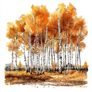 JPEG Watercolor Autumn Birch Clipart Bundle Birch Tree Clipart Autumn ...
