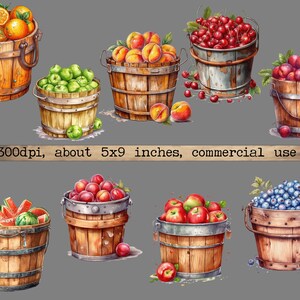 Buckets of Fruits Clipart PNG Fruity Baskets Digital Image Downloads ...