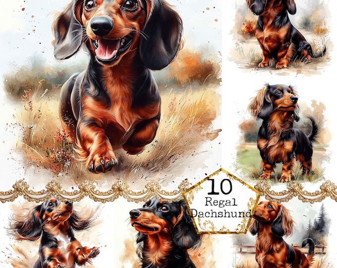 10 Dachshund Dog Clipart, Watercolor Dachshund, Printable Watercolor ...