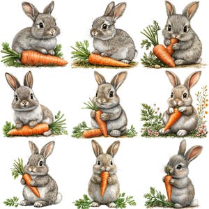 PNG + JPEG Watercolor Rabbit With a Carrot Clipart Bundle Cute Bunny ...