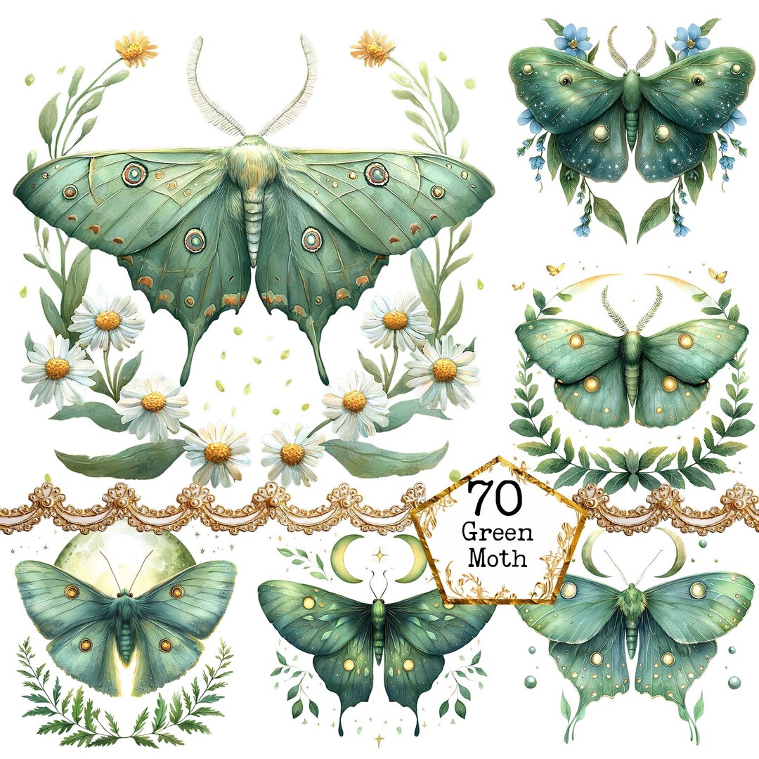 PNG + JPEG Watercolor Green Moth Clipart Bundle Spring Clipart Mystical ...